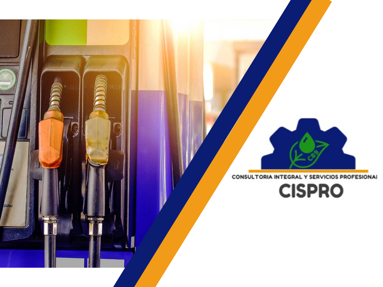 :: Cispro Consultora